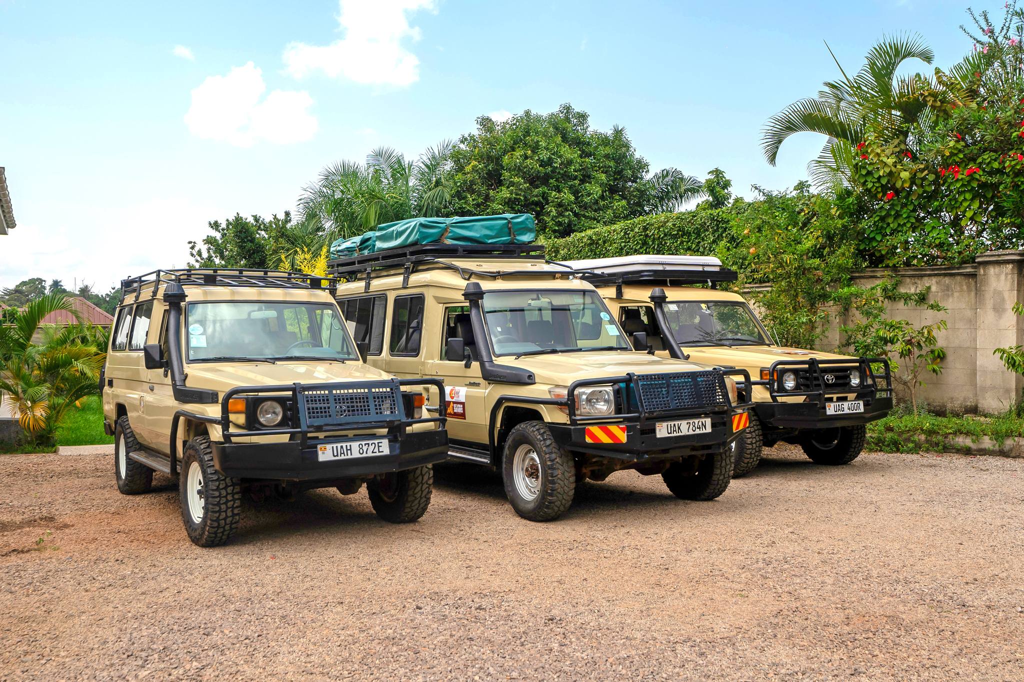 Alpha Rent A Car - Nyom Planet