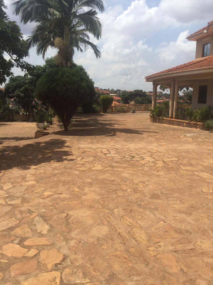 Frema Gardens - Nyom Planet
