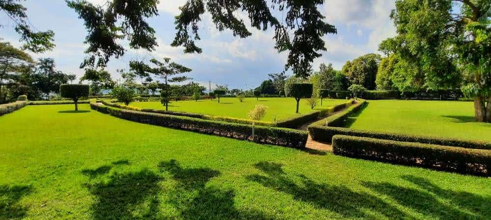 Maya Nature Resort - Nyom Planet