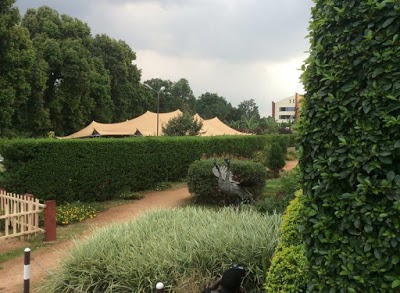 Seven Trees - Nyom Planet