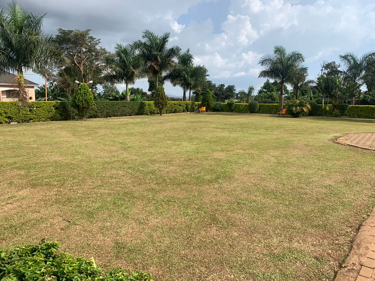 Tarzan gardens - Nyom Planet